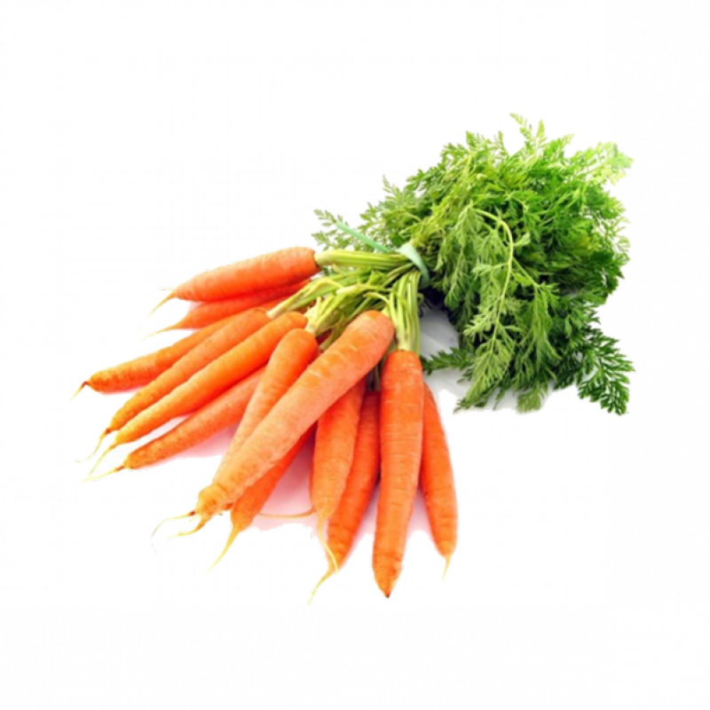 Cenoura Agroecológica 500g – EMS – Armazém do Campo Maringá