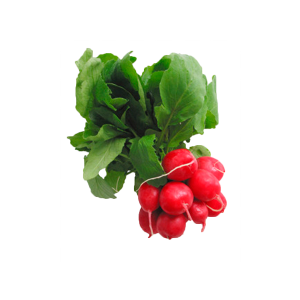 Rabanete Orgânico 500g – COPAVI – Armazém do Campo Maringá